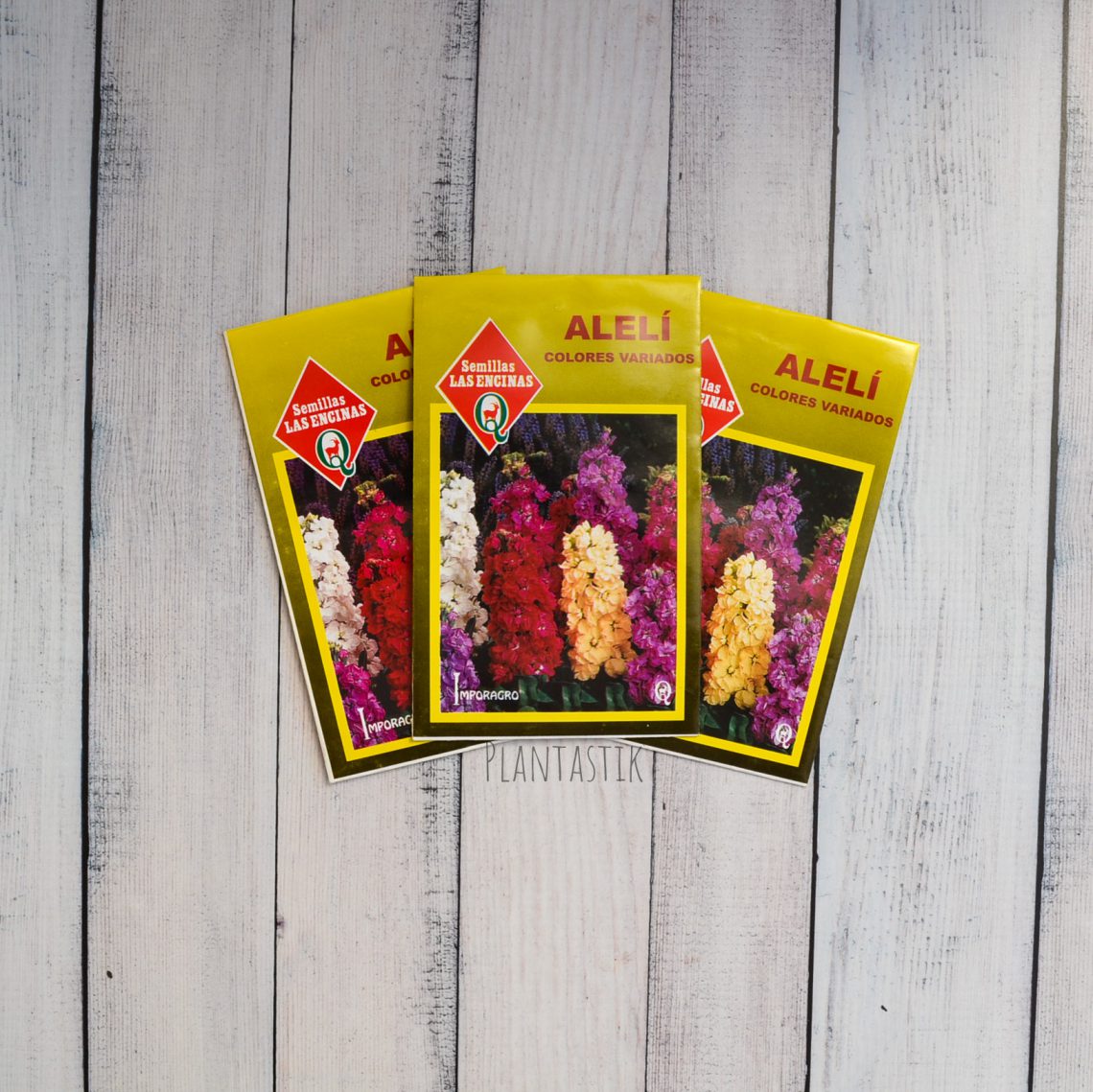 Alelí – PlantastiK