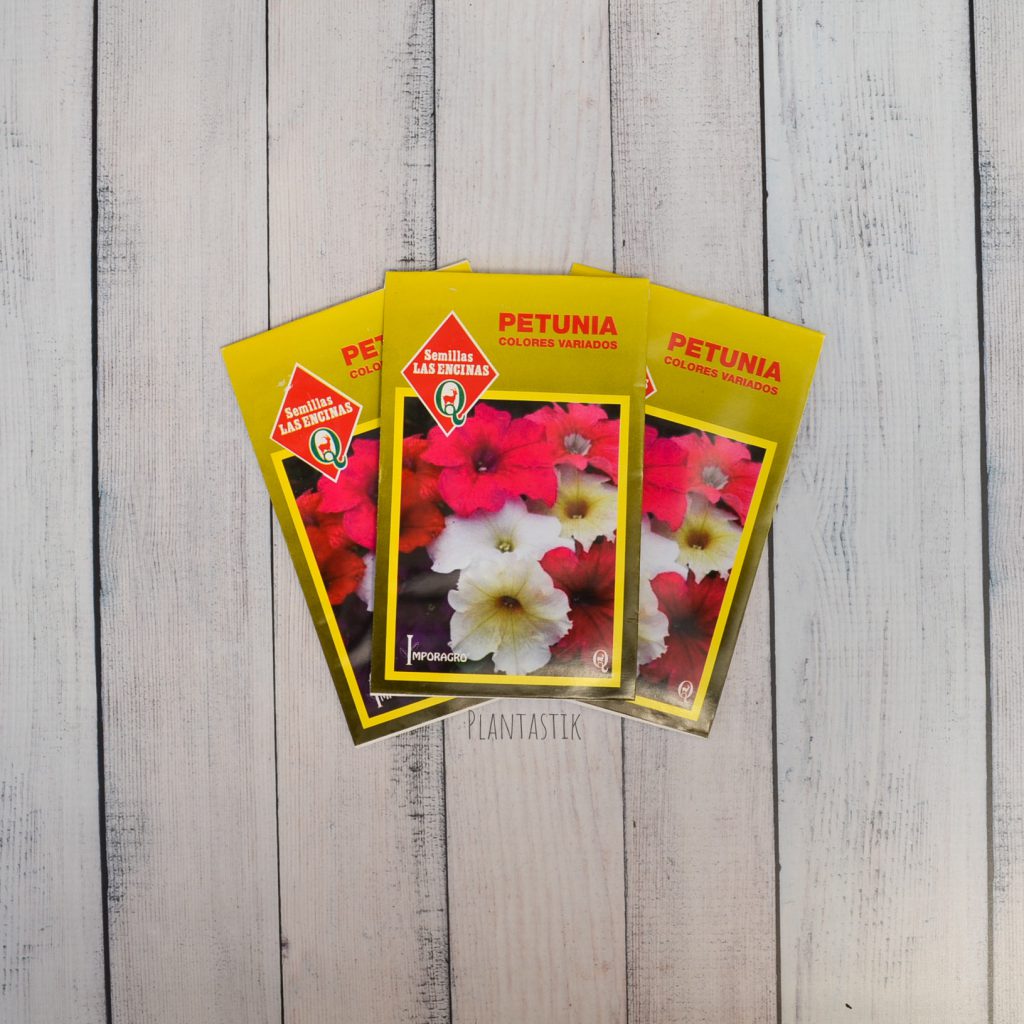 Petunia Multiflora – PlantastiK