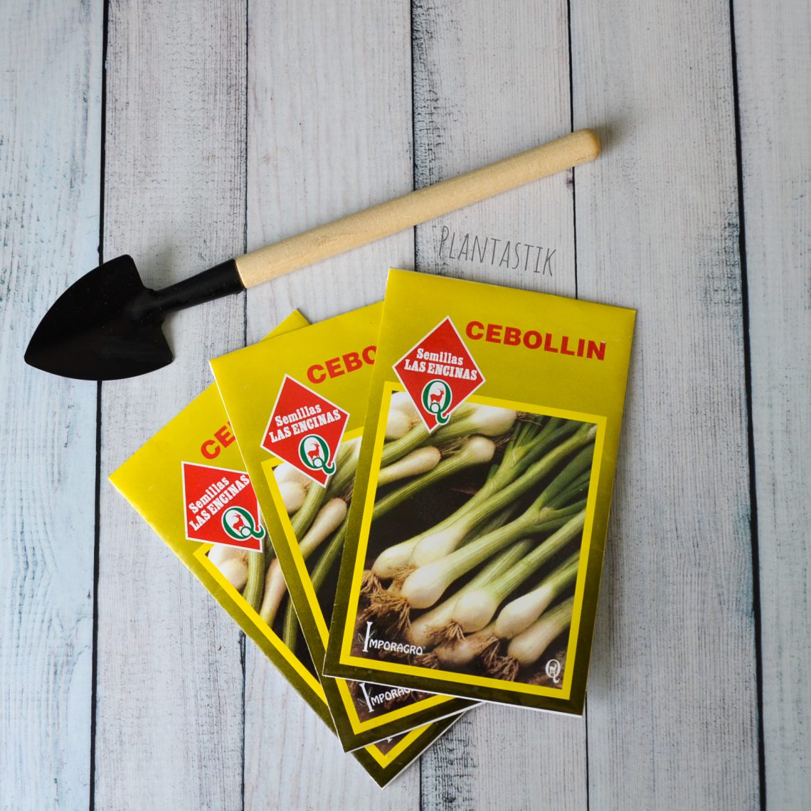 Cebollín – PlantastiK