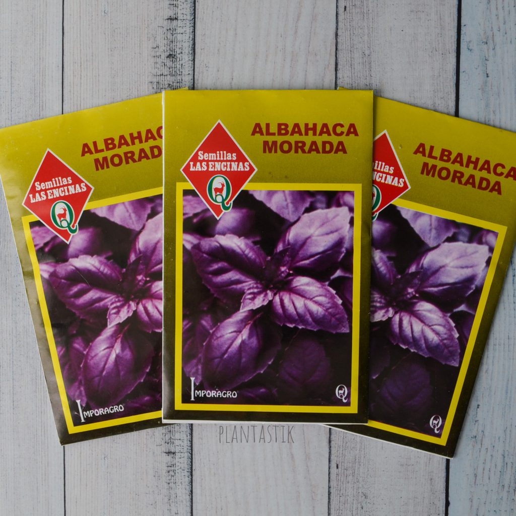 Albahaca Morada – PlantastiK